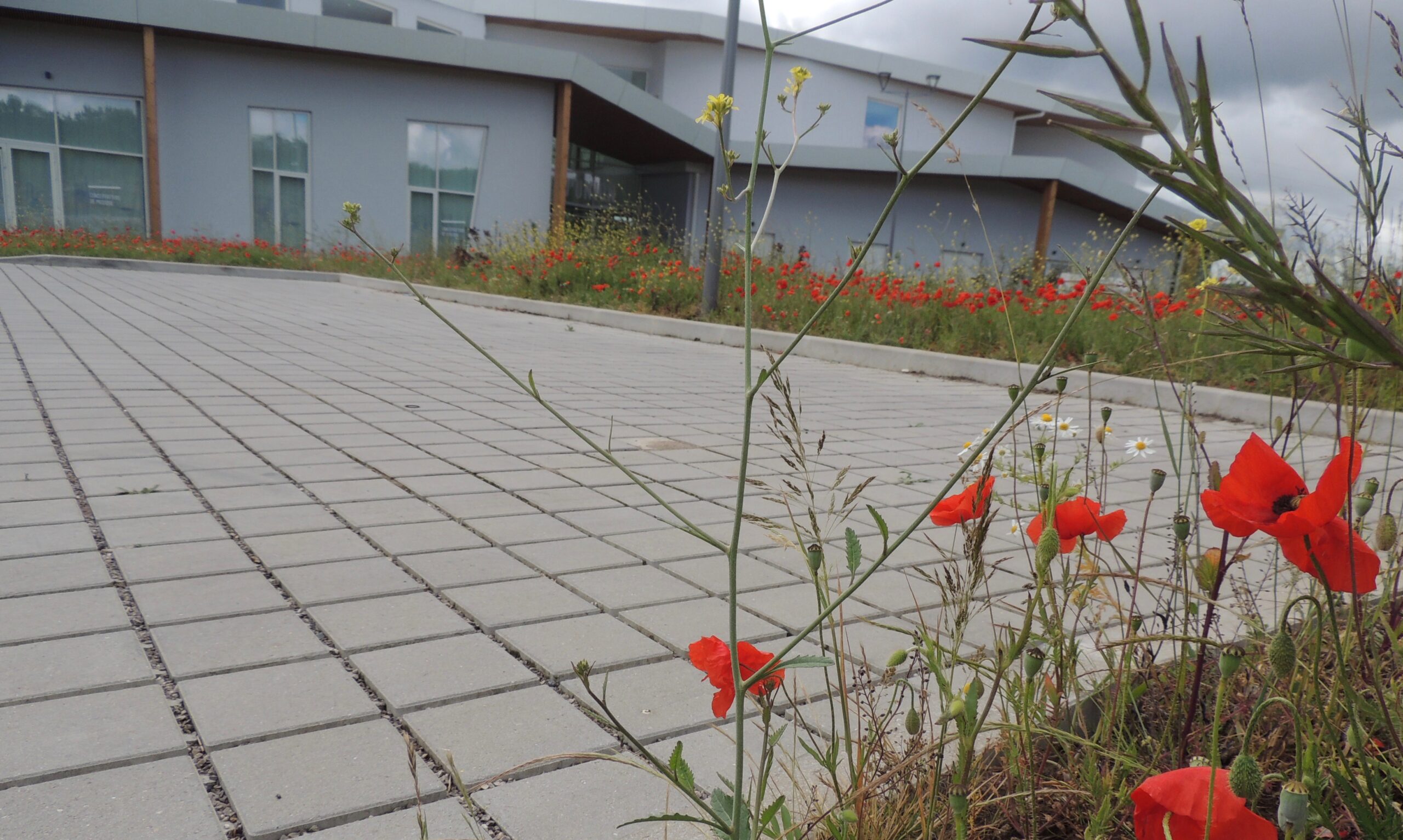 Pavé HYDROJOINT - écoulement des eaux pluviales